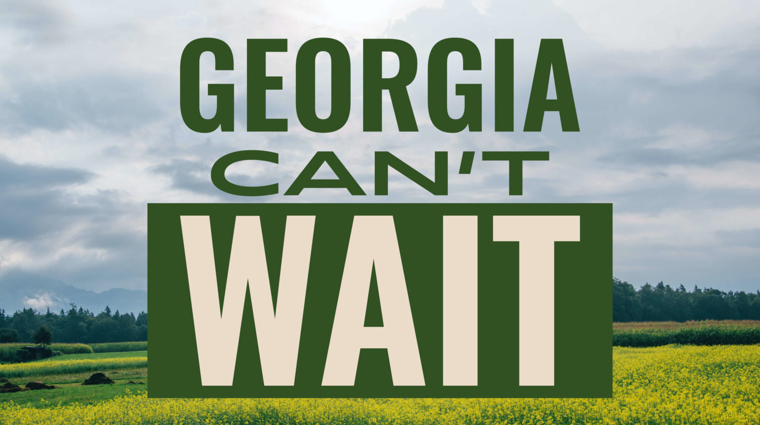 Georgia Can t Wait Georgians For A Healthy Future georgia-can-t-wait-georgians-for-a-healthy-future